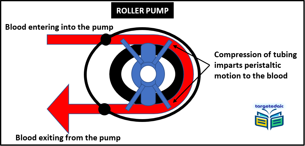 Cardiopulmonary bypass: All you need to know before your EDAIC ...